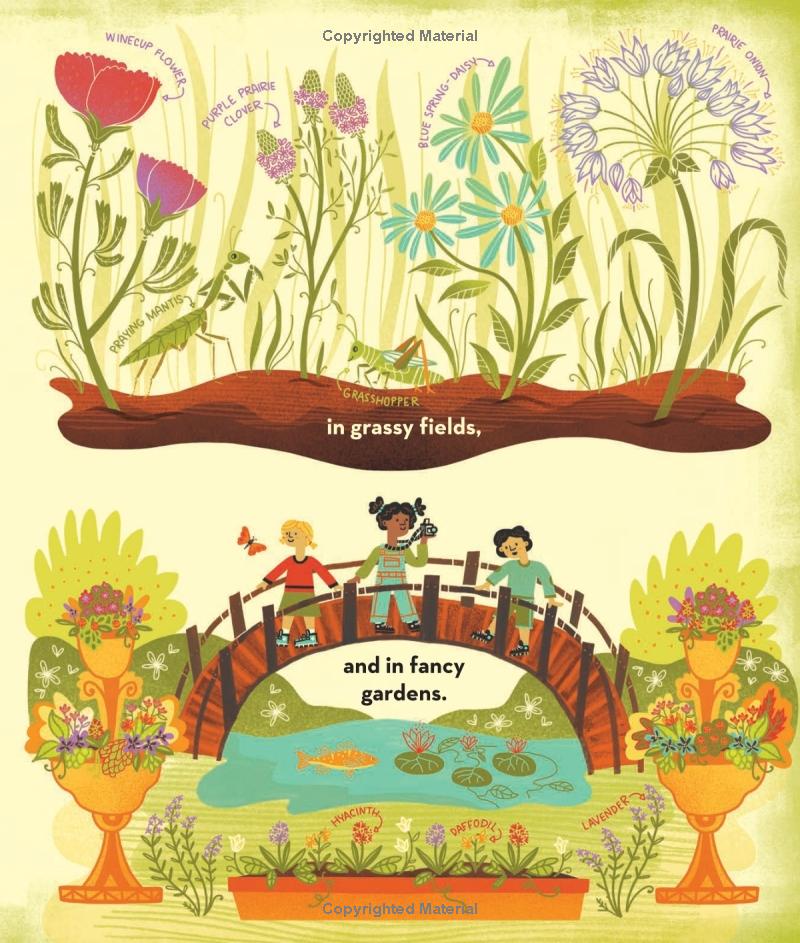 What's Inside A Flower?: And Other Questions About Science & Nature ...