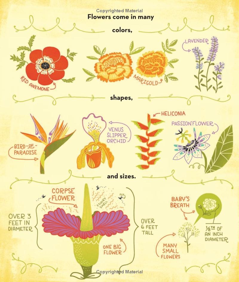 What's Inside A Flower?: And Other Questions About Science & Nature ...