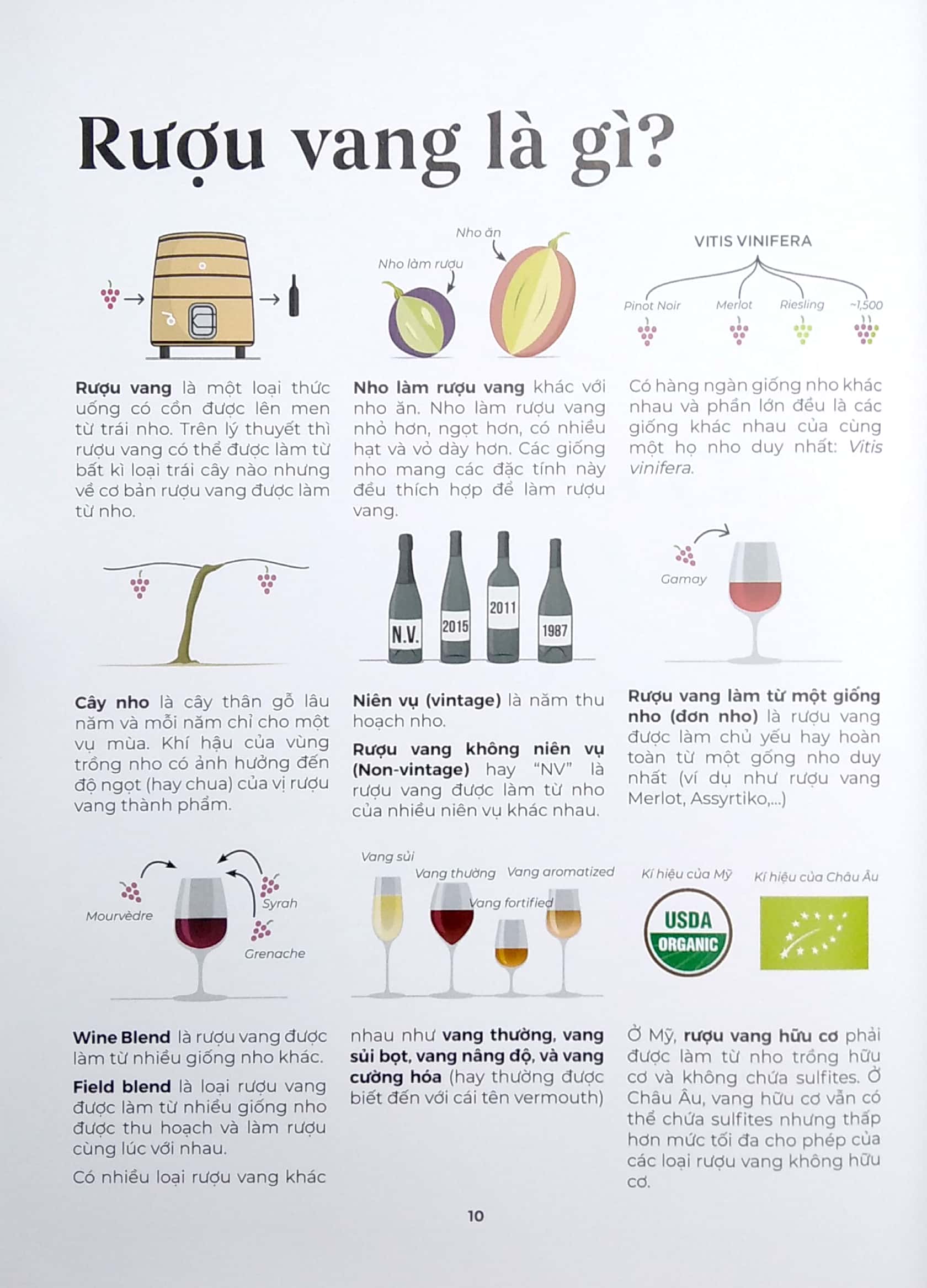 Sách Wine Folly Toàn Tập (Phiên Bản Magnum) - FAHASA.COM